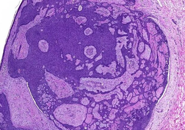 Pathology Services | New Lab Development | The Woodlands, TX